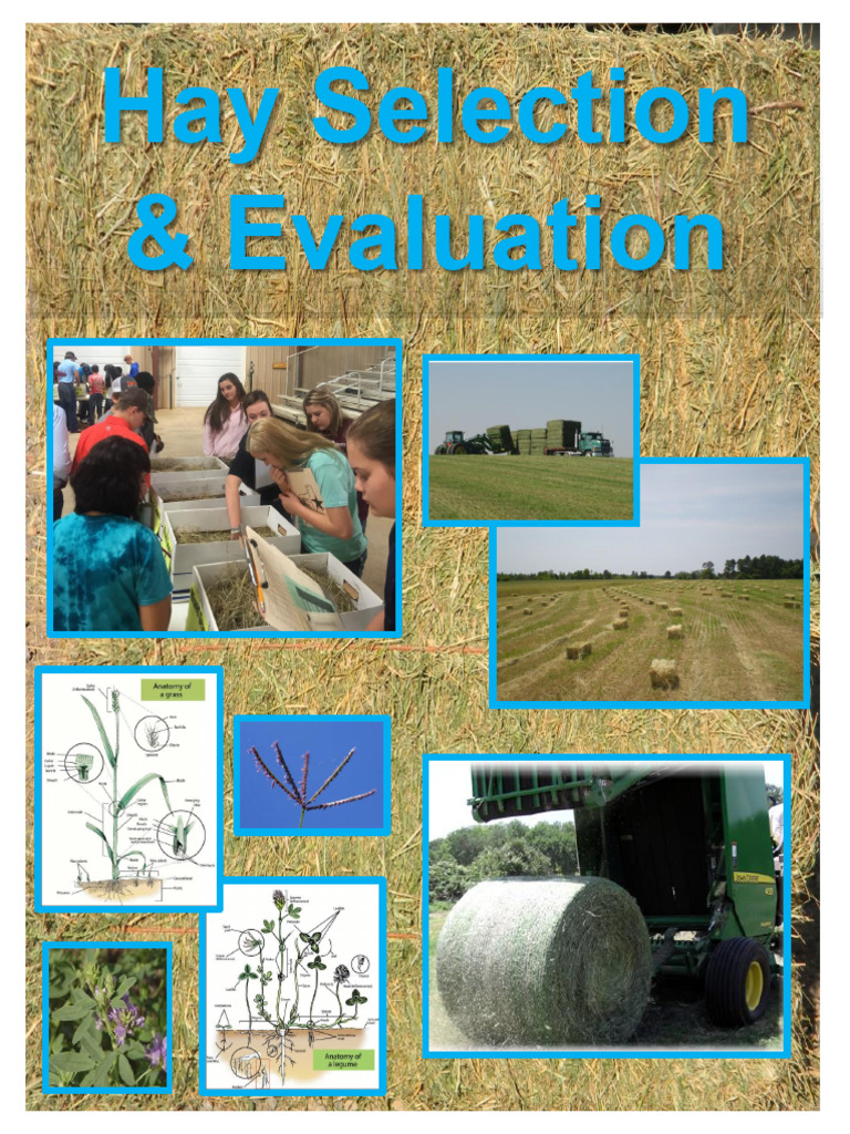 2018 Hay Selection Evaluation Guidelines_47860 | PDF | Hay | Lignin