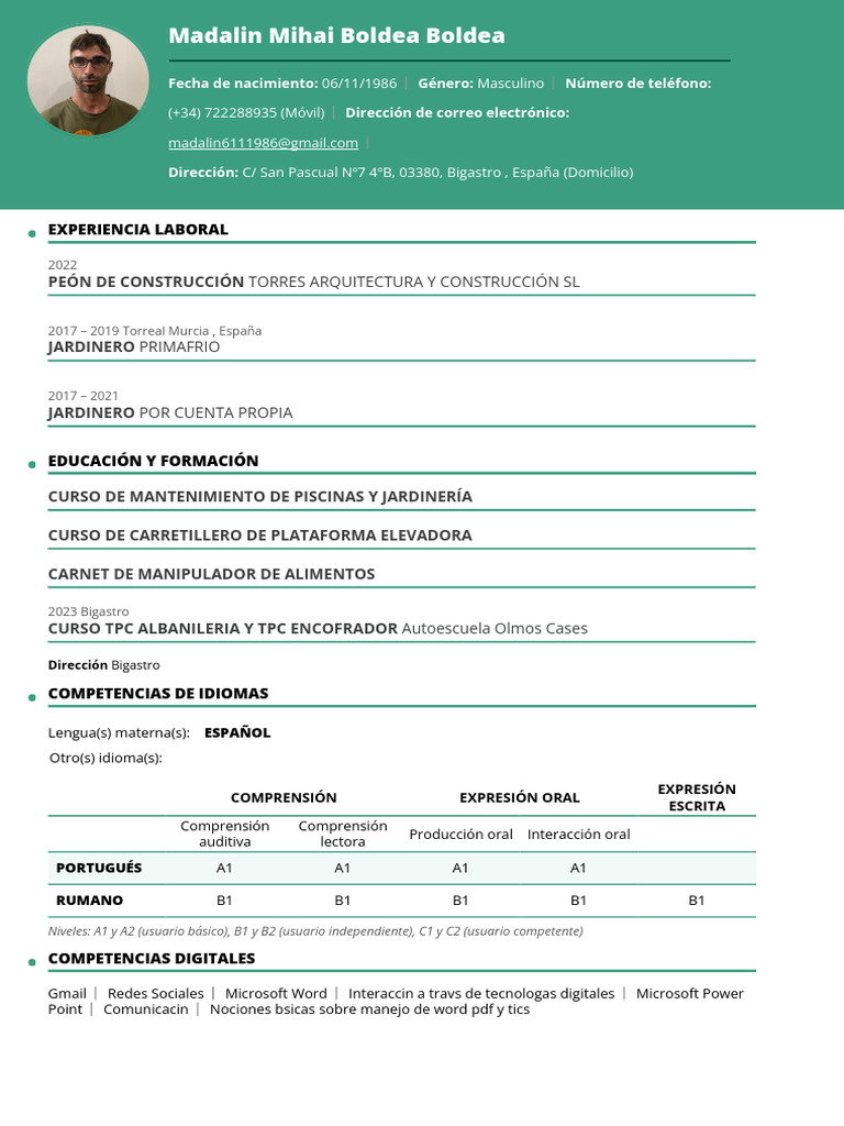 CV - Madalin Mihai Boldea Boldea | PDF