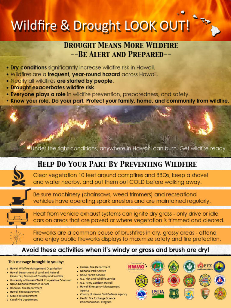2024 6 4 Wildfire and Drought Lookout WDL Flyer | PDF | Wildfire | Hazards