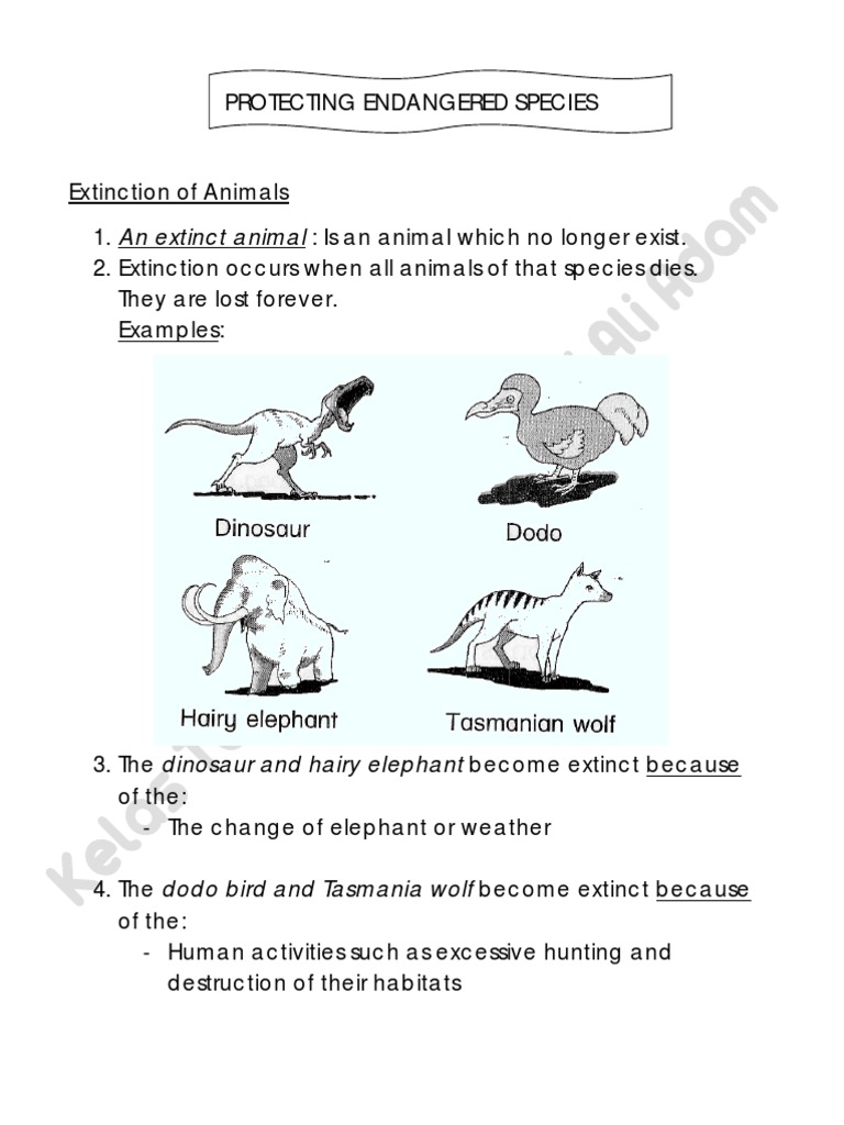 Science Year 6 (Chapter 1) - Protecting Endangered Species | PDF ...