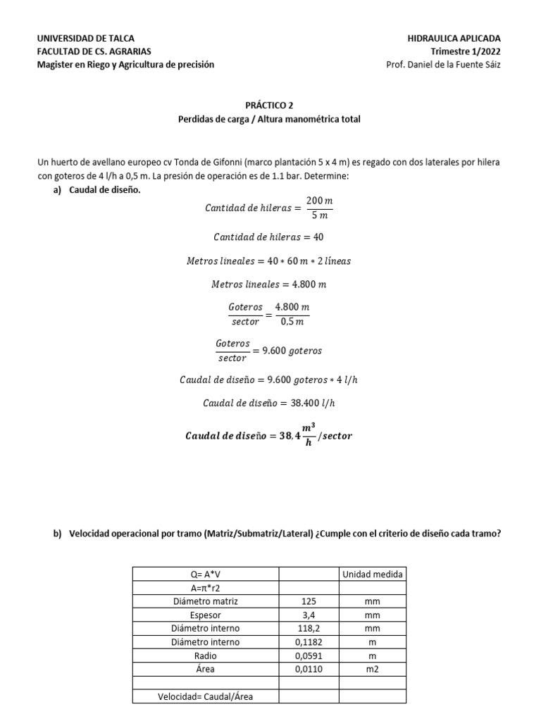 Practico 2 - Perdida de Carga | PDF