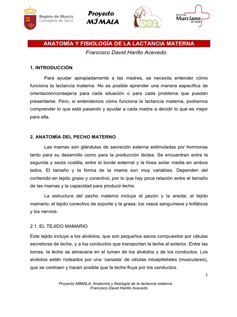 Anatomía y Fisiología de La Lactancia Materna. David Harillo | PDF | Lactancia | Pecho