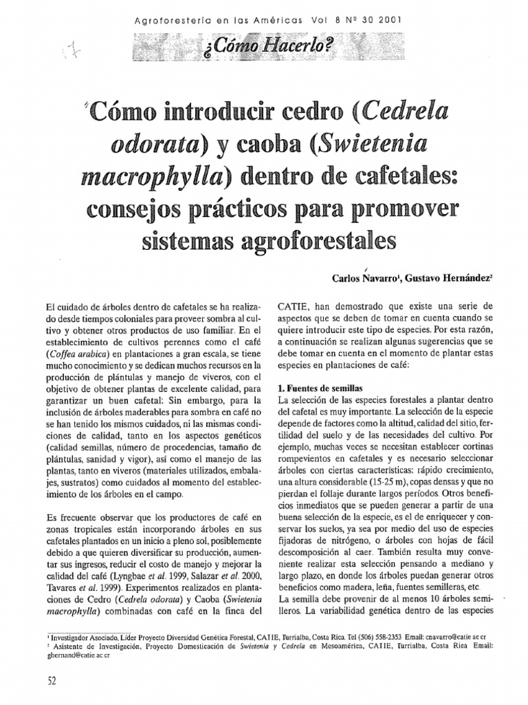 Como Introducir Cedro | PDF