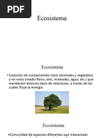 LOS ECOSISTEMAS. Sopa de Letras | PDF