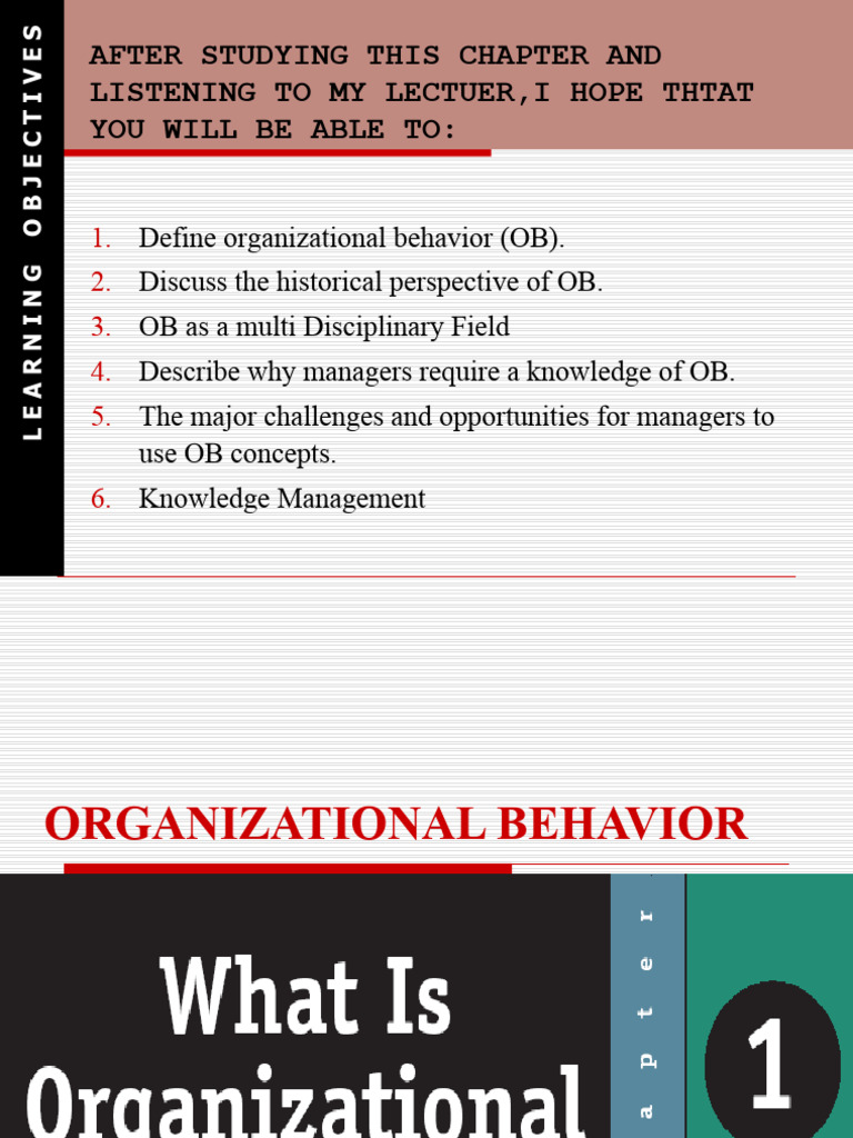 Introduction T Ob | PDF | Organizational Behavior | Psychology