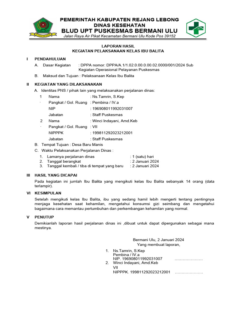 Laporan Hasil BOK 2024 | PDF