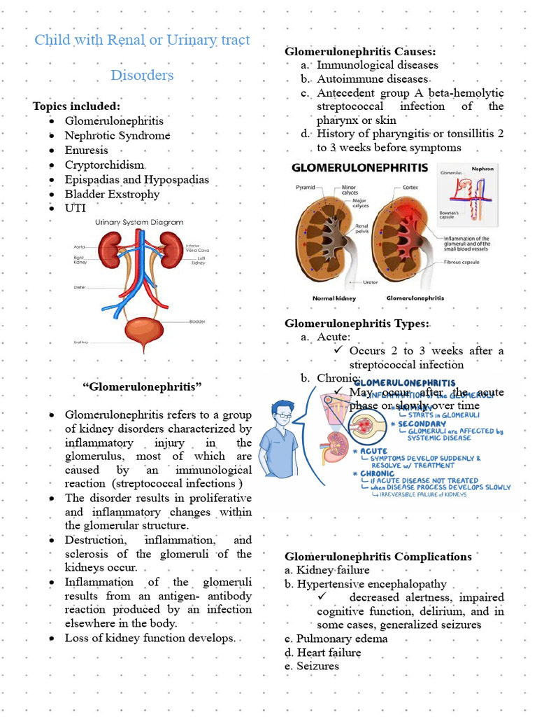 Child With Renal or Urinary Tract | PDF | Urinary Tract Infection ...