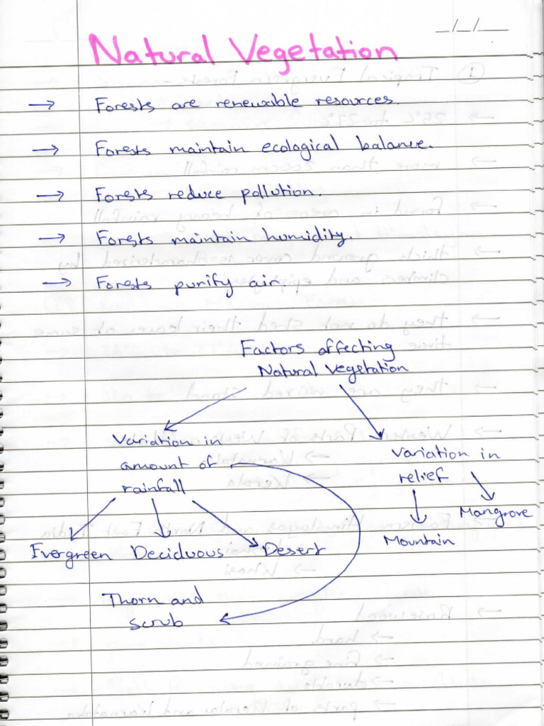 Natural Vegetation Notes | PDF