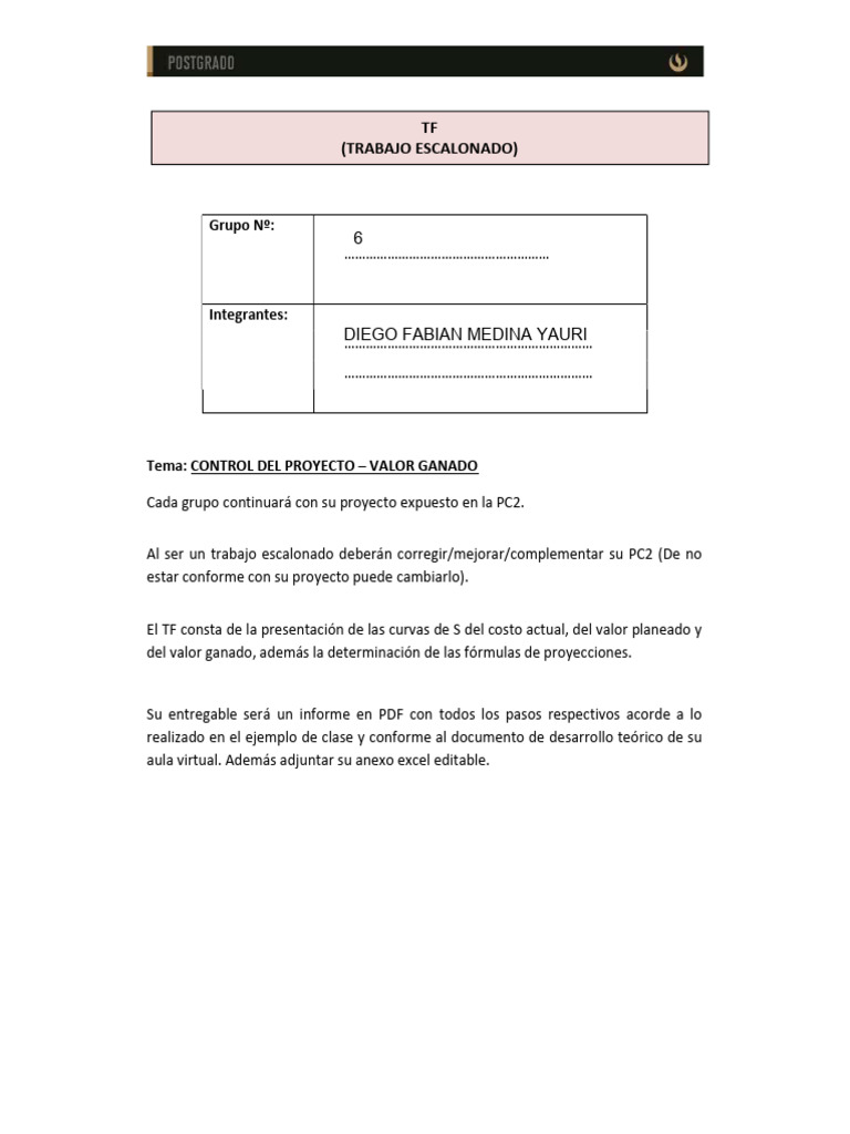 TF Luxury Towers Etapa I | PDF | Presupuesto | Economias