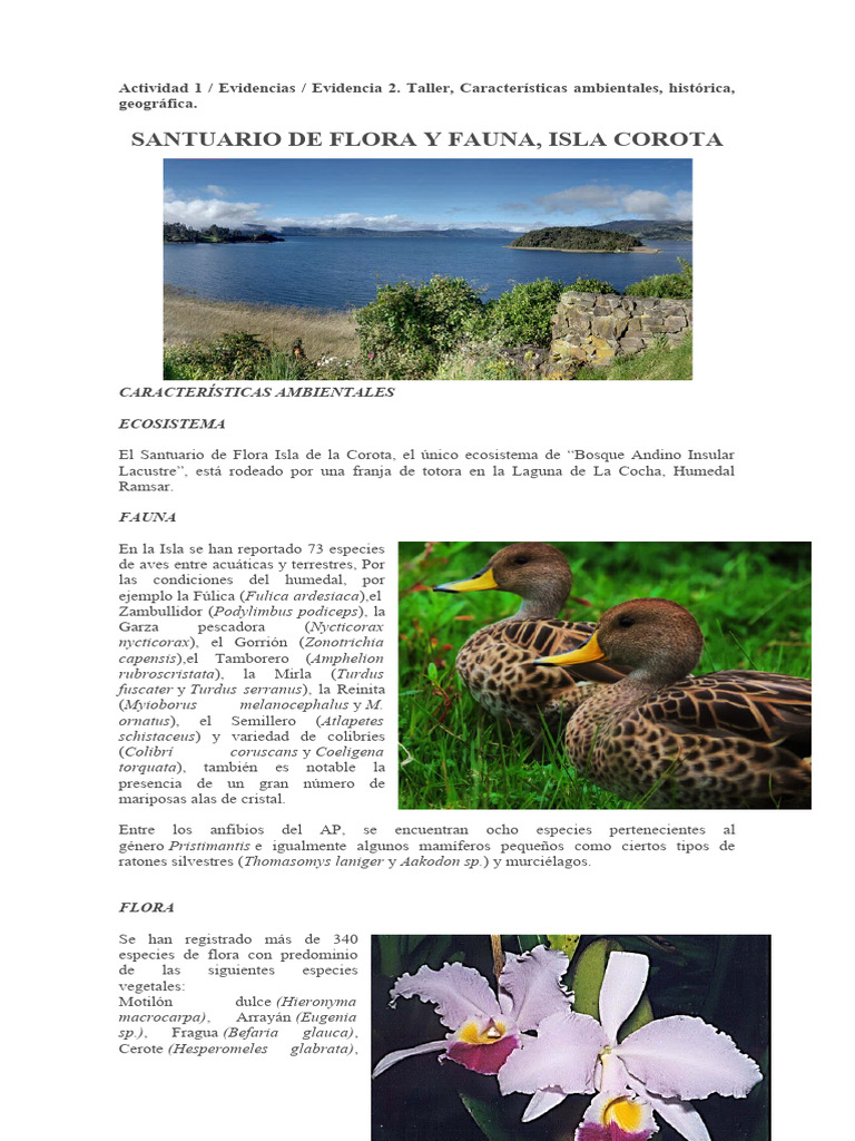 Santuario de Flora y Fauna Isla Corota | PDF | Ecología | Ciencias de ...