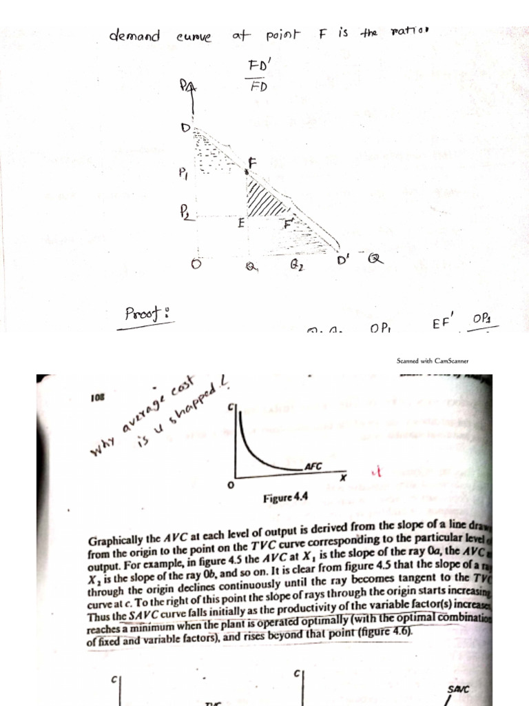 Fig (Economics) | PDF