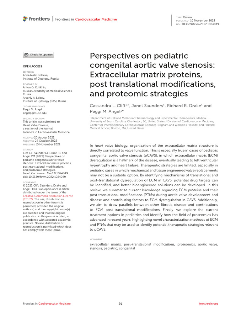 Heart valve | PDF | Extracellular Matrix | Proteomics