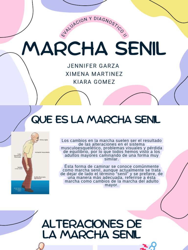 Marcha Senil | PDF | Terapia física | Flexibilidad (anatomía)