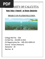 Project On Water Pollution | PDF | Water Pollution | Water