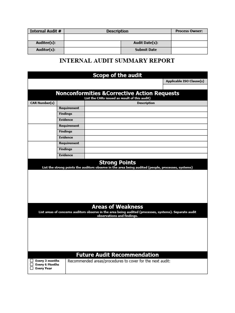Internal Audit Summary Report | PDF