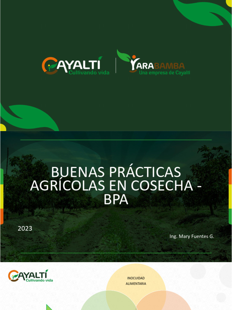 Cap Buenas Prácticas Agrícolas En Cosecha 2023 Ok Descargar Gratis