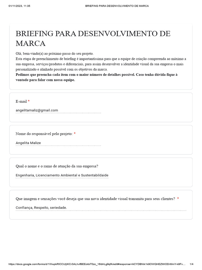 Briefing para Desenvolvimento de Marca | PDF | Qualidade (negócios ...