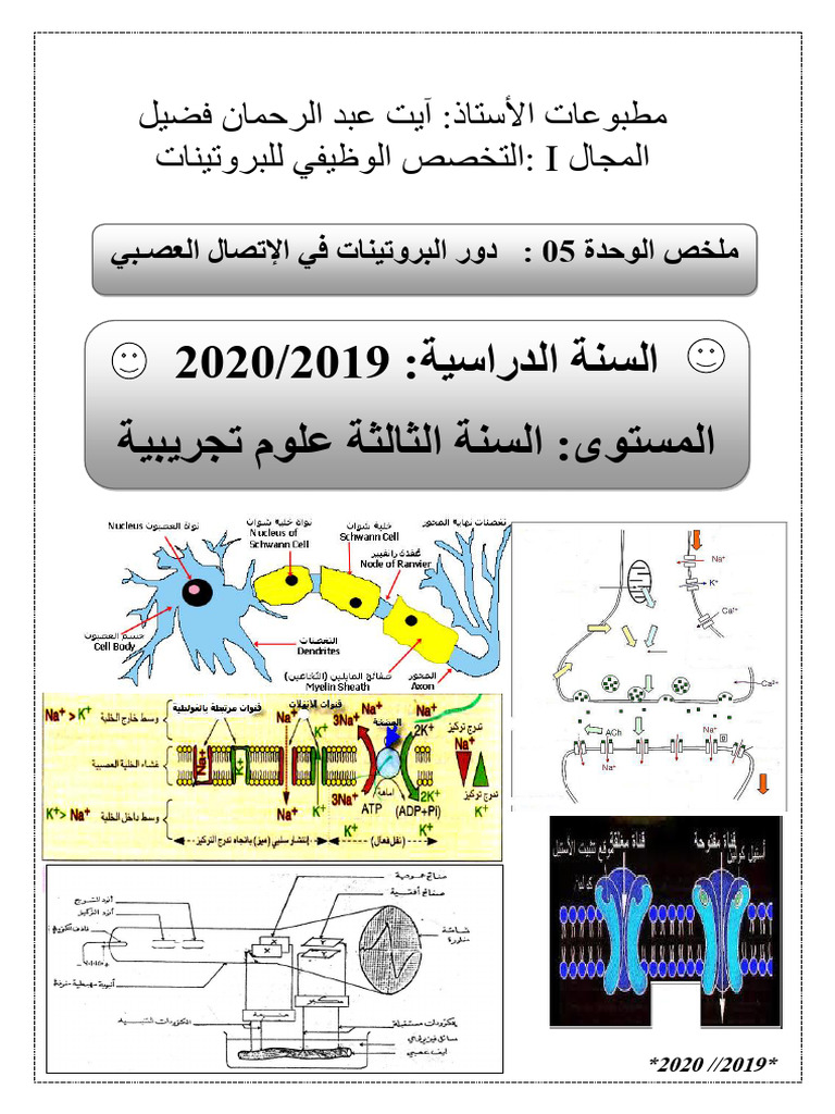 Dzexams Docs 3as 907208 | PDF