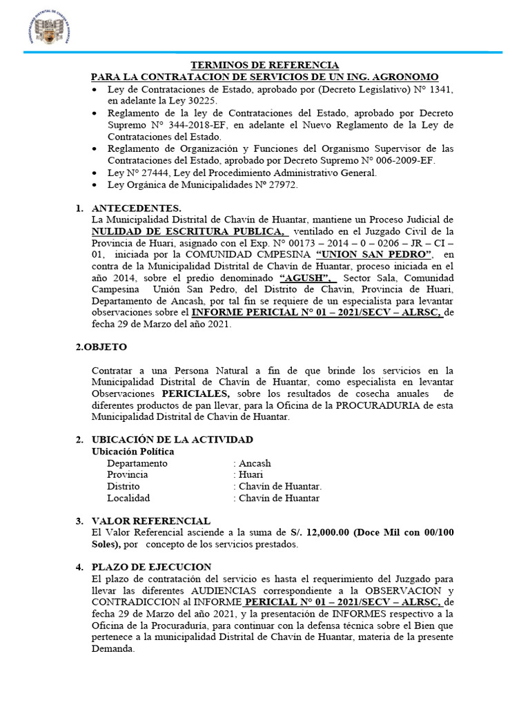 TDR MODELO | Descargar gratis PDF | Gobierno | Justicia