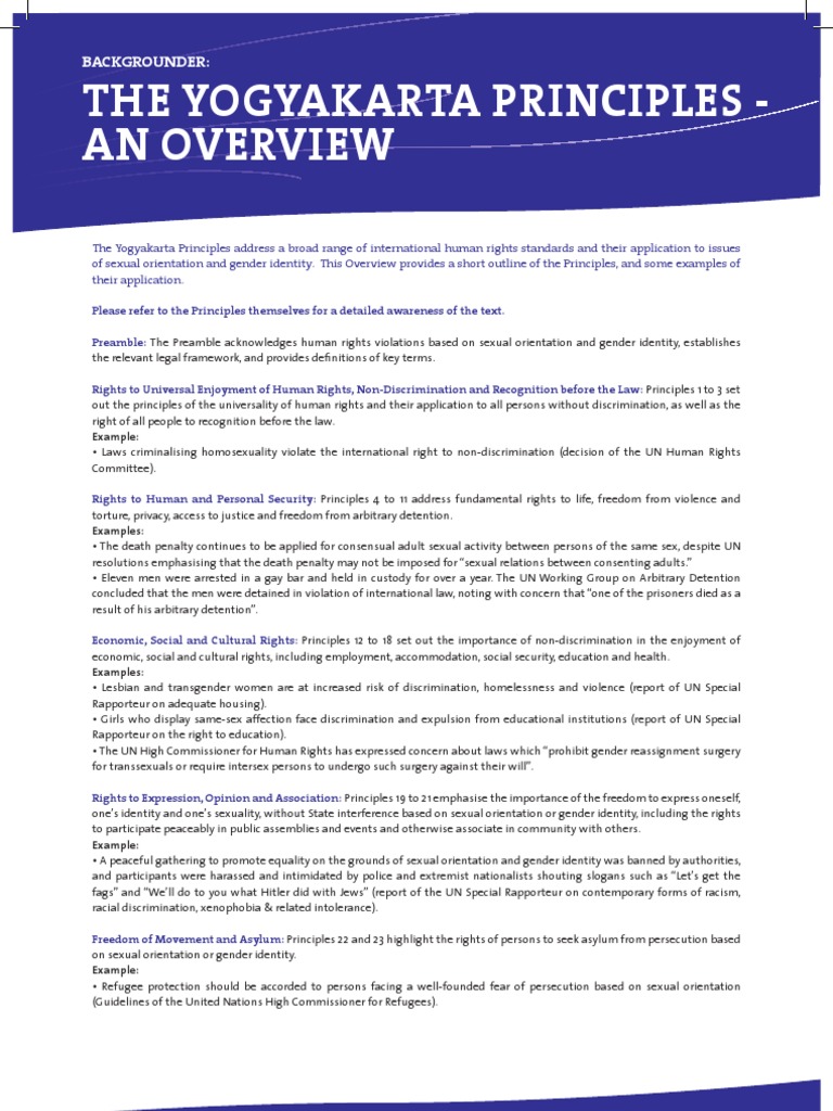 The Yogyakarta Principles - An Overview: Backgrounder | PDF | Human ...