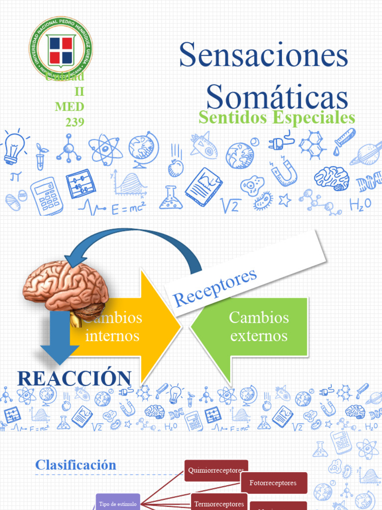 Sensaciones Somaticas 239 Teoria | PDF | Oído | Percepción visual