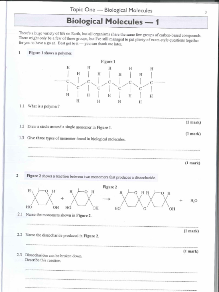 biological_molecules_questions | PDF