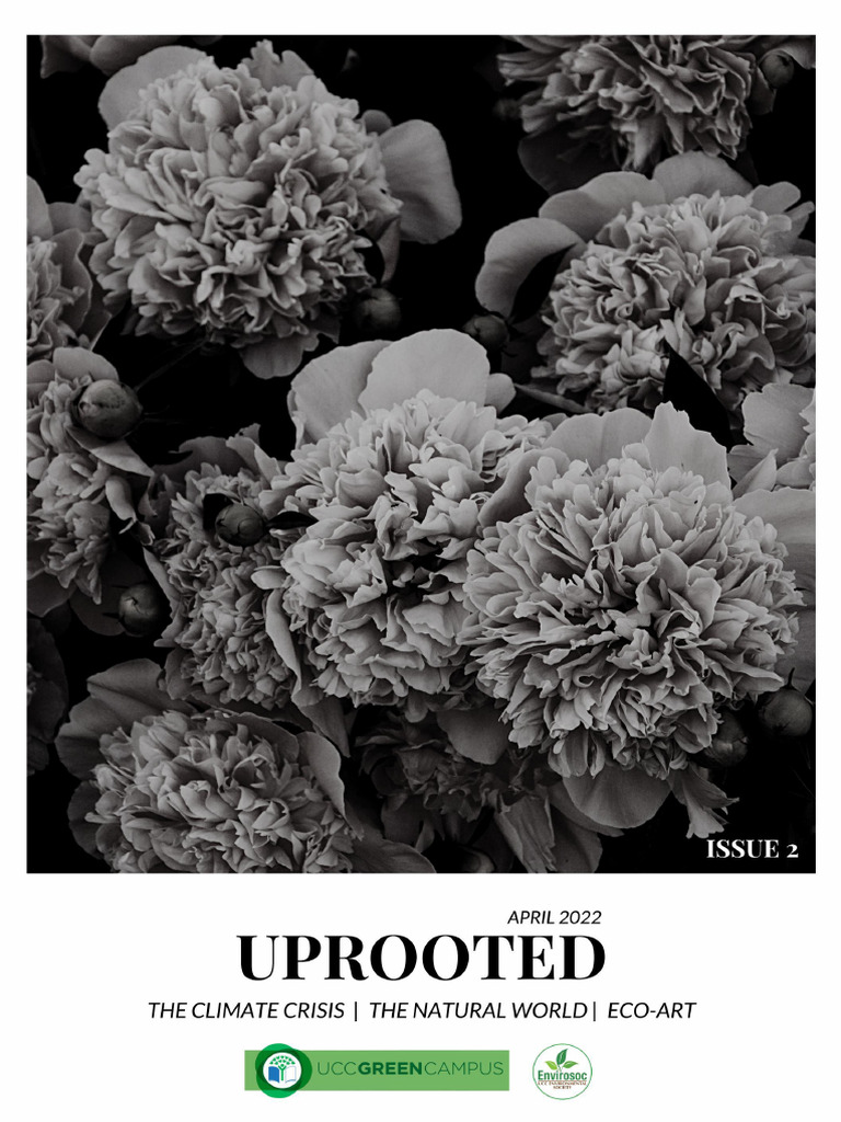 Uprooted - Issue 2 | PDF