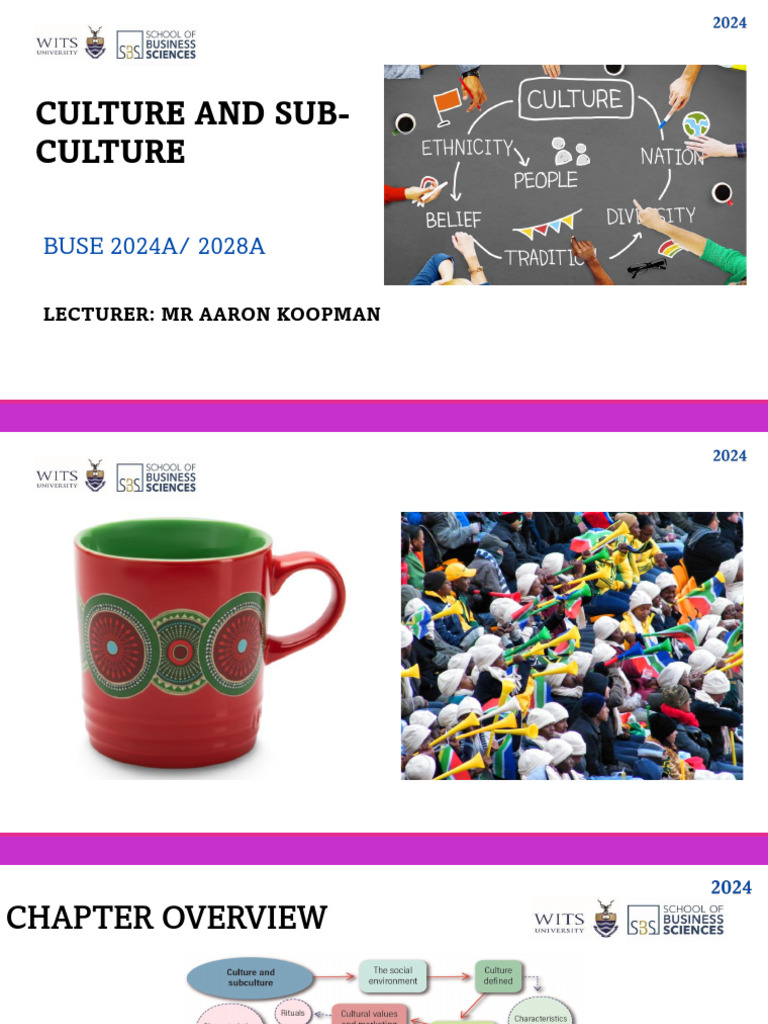 Consumer Behaviour Chapter 7 Pdf Behavior Consumer Behaviour