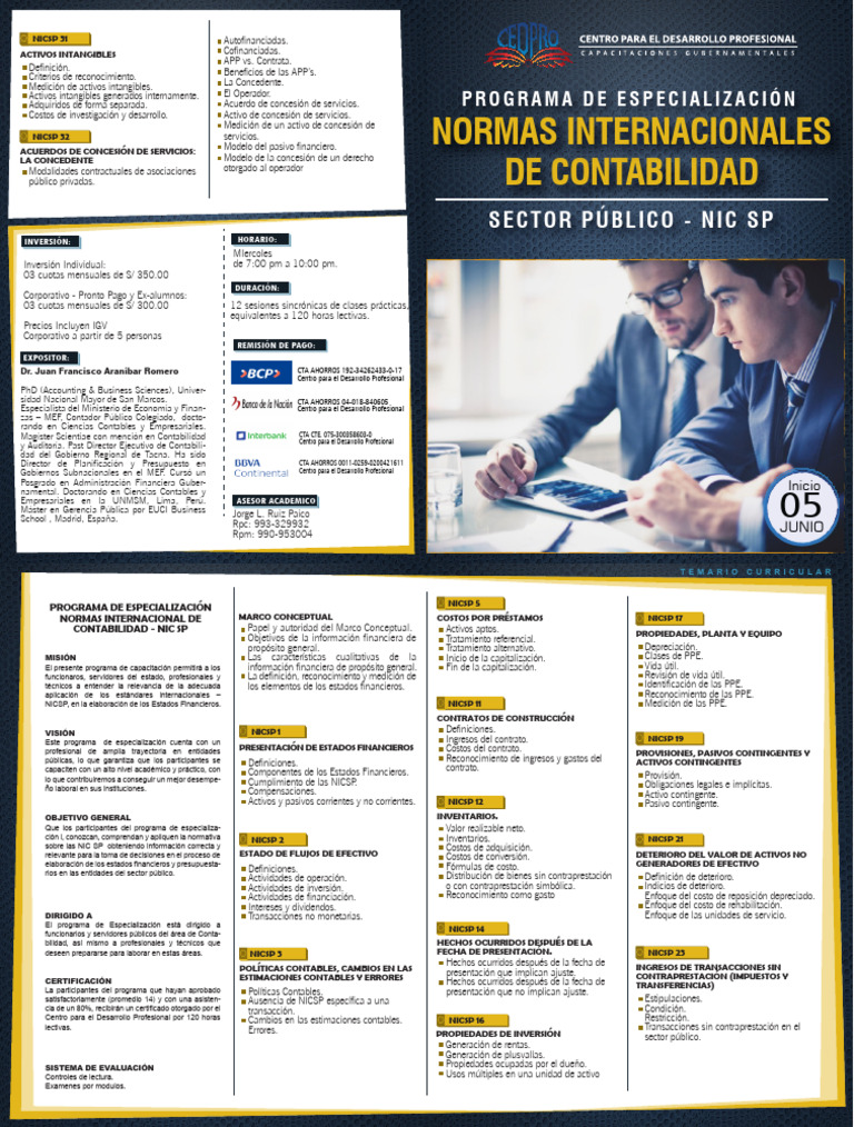 Brochure Programa Nic SP Junio 2024 | PDF | Contabilidad | Estado financiero