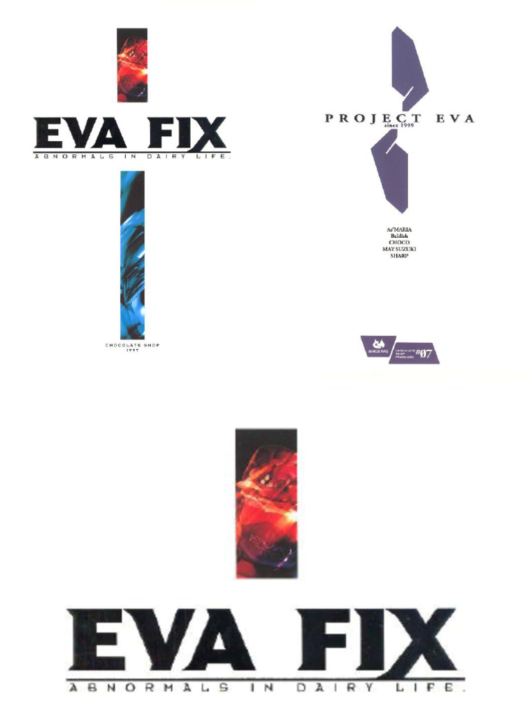 Evangelion - EVA FIX - Abnormalities in Daily Life | PDF