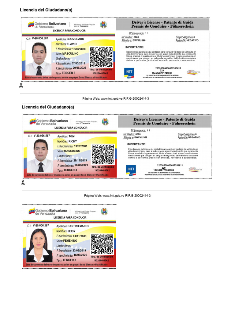 Licencia Imprimibles0606 | Descargar gratis PDF | Licencia de conducir | Transporte