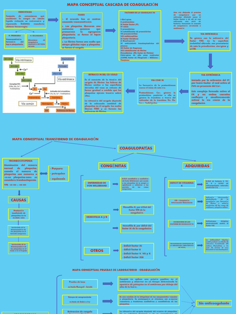 Mapa Concept Coagulación | Descargar gratis PDF | Coagulación | Plaqueta