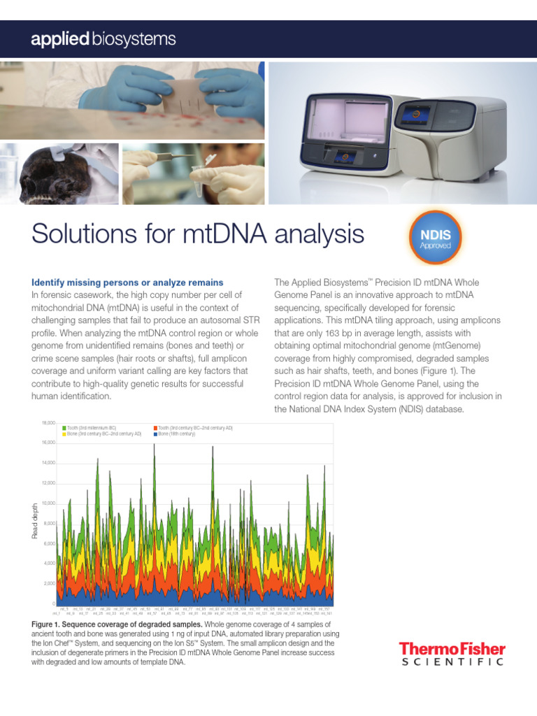 precisionid-mtDNA-panel-flyer | PDF | Dna Sequencing | Mitochondrial Dna
