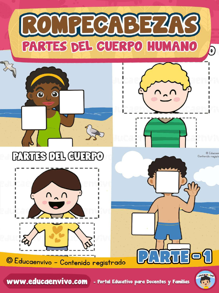 Rompecabezas Cuerpo Humano Parte 1 Pdf