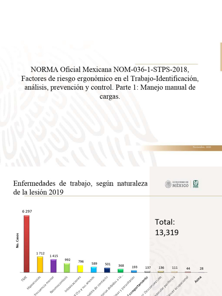 2 Nom-036-01-Stps-2018 | PDF | Cuestionario | Factores humanos y ergonomía