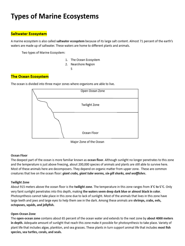 Types of Marine Ecosystem | PDF | Oceans | Littoral Zone