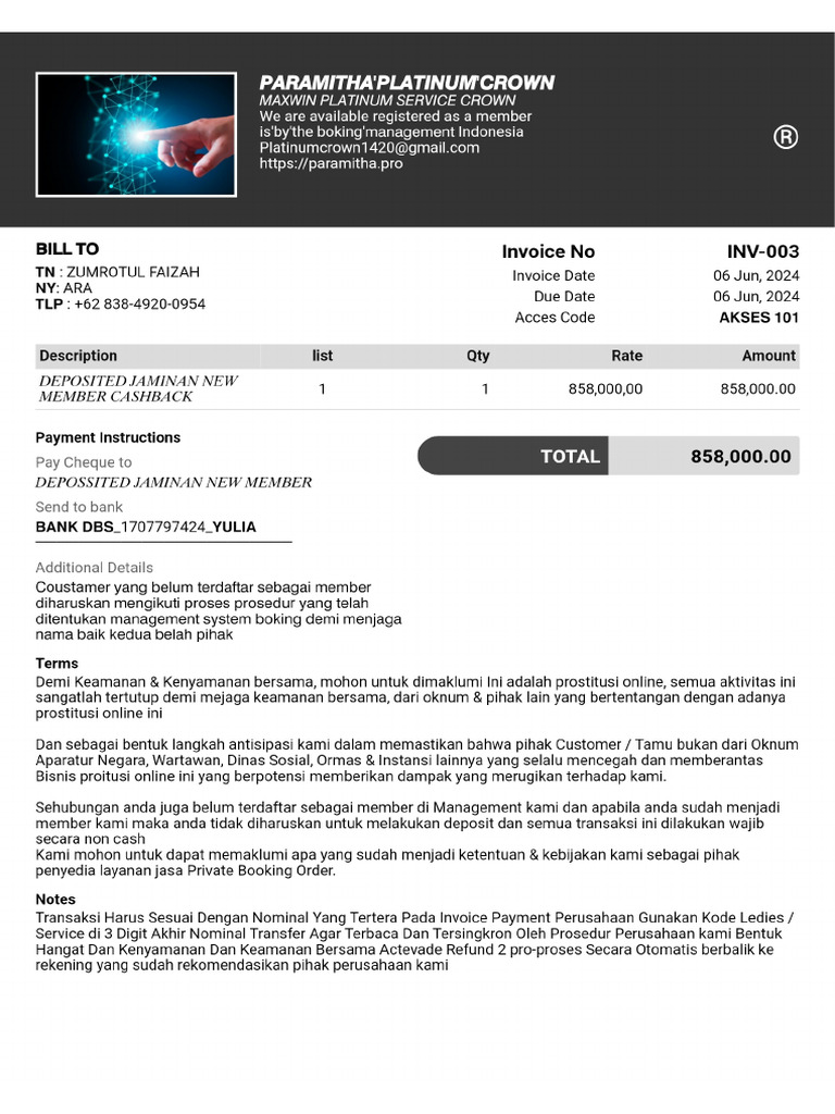 Invoice INV 003 | PDF