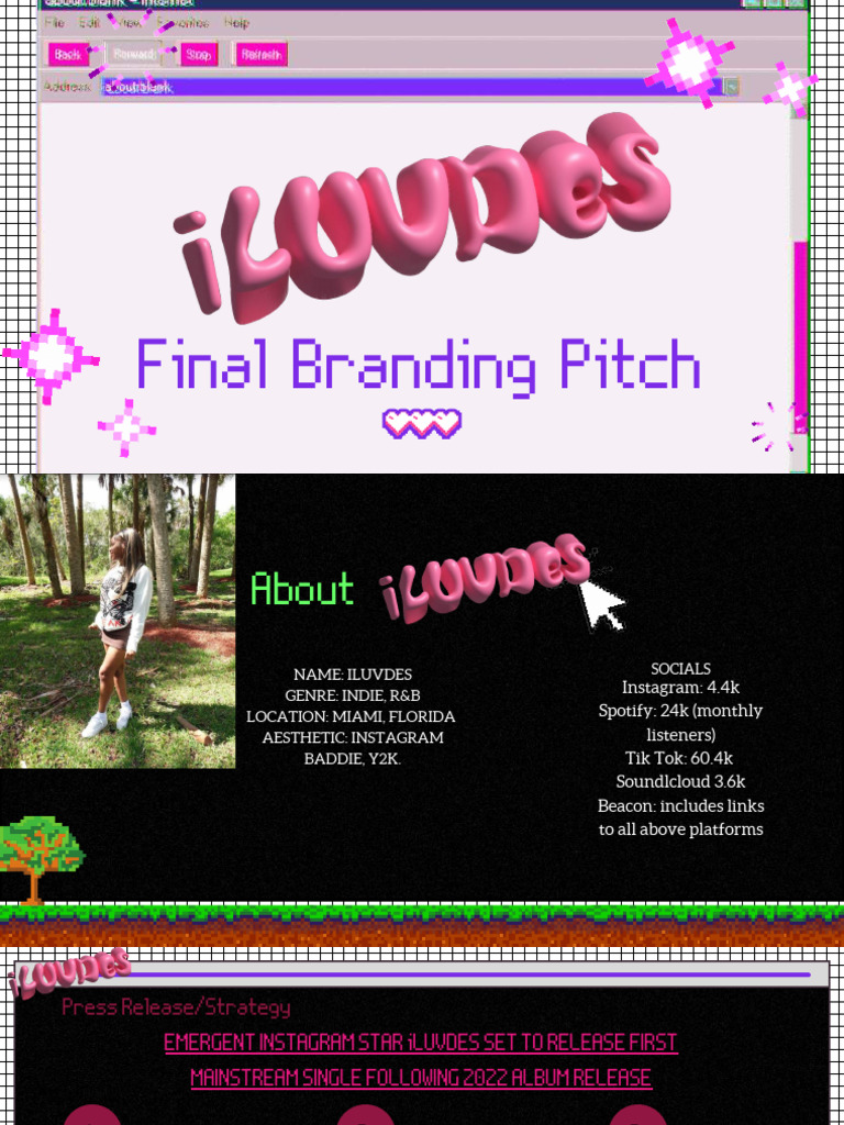 Luvdes Final Presentation-Compressed | PDF | Mass Media | Entertainment