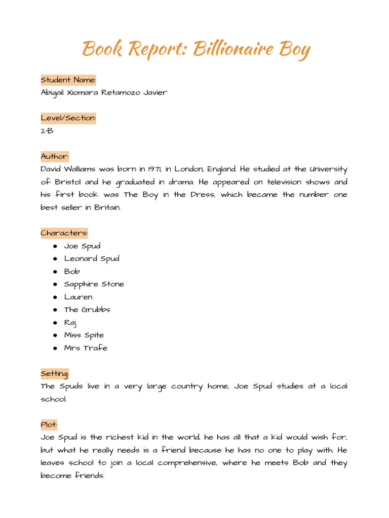 Billionaire Boy Book Report | PDF | General Fiction