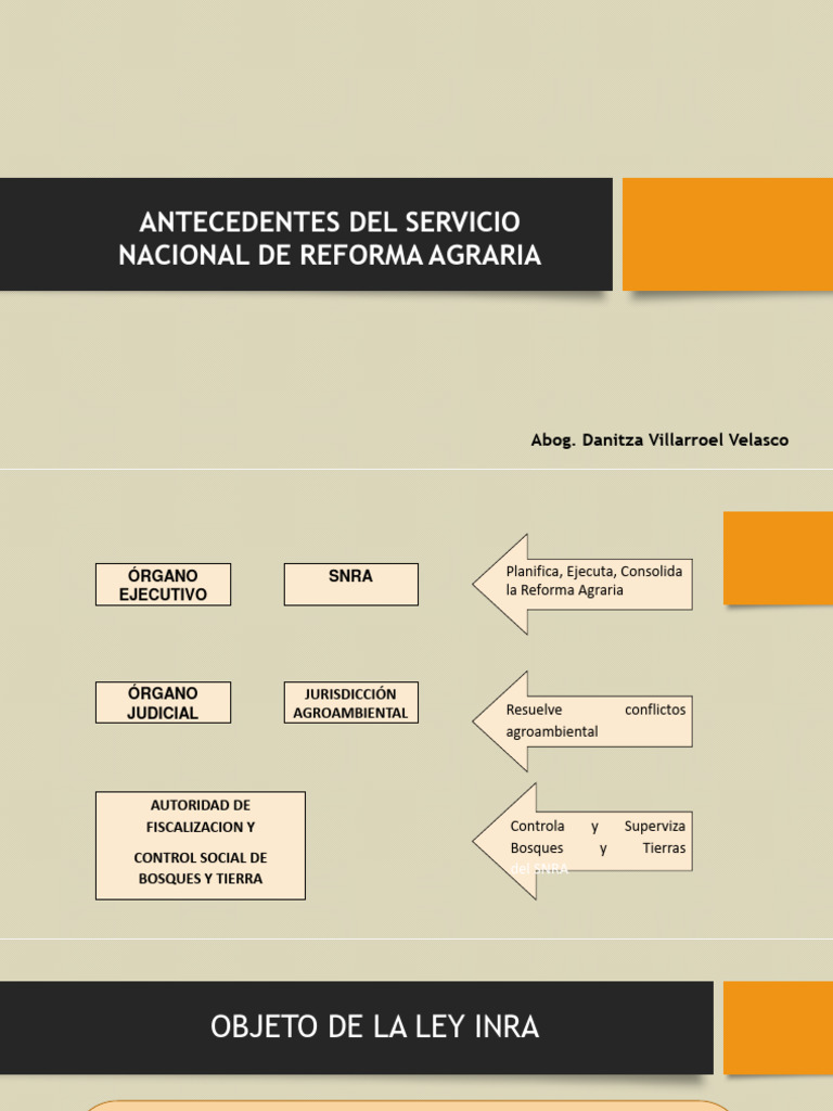 Antecedentes Del SNRA | PDF | Reforma agraria | Gobierno