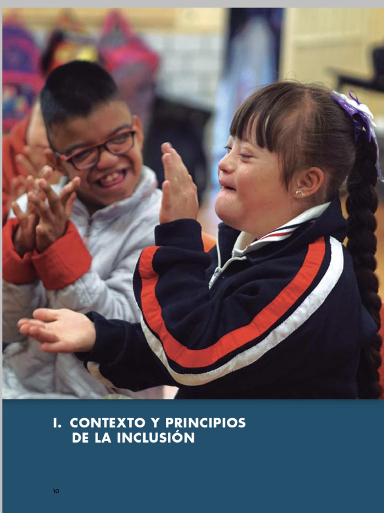 Contexto y Principios de La Inclusion | PDF