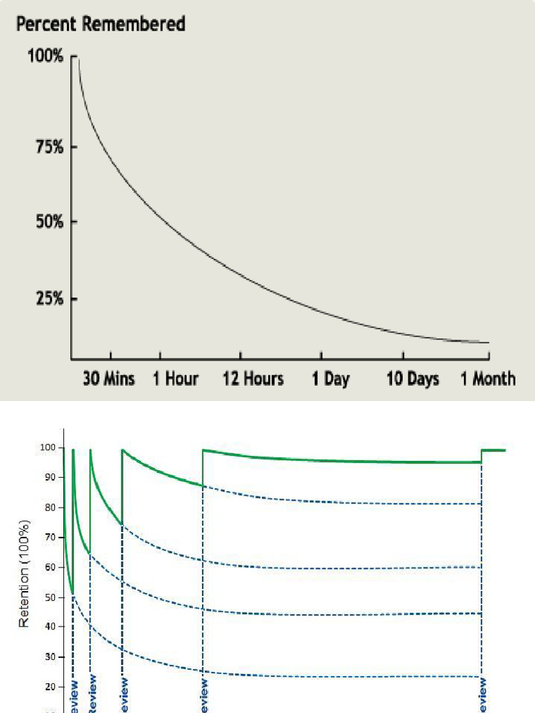 PHCDS | PDF | Health Care | Hospital
