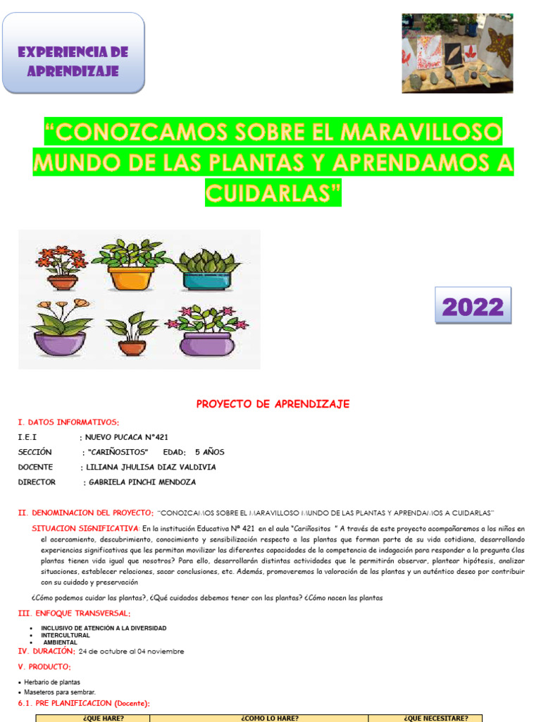 "Conozcamos Sobre El Maravilloso Mundo de Las Plantas y Aprendamos A ...