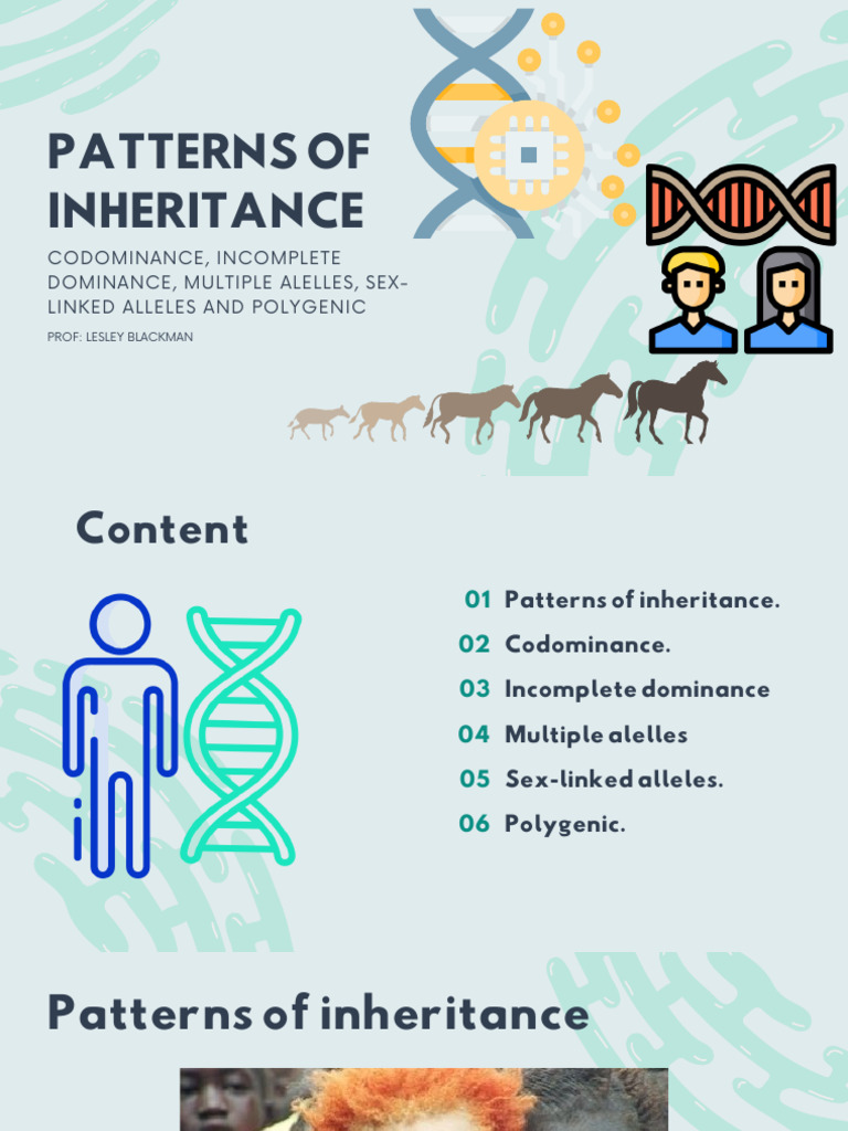 Patterns of Inheritance. | PDF | Dominance (Genetics) | Allele