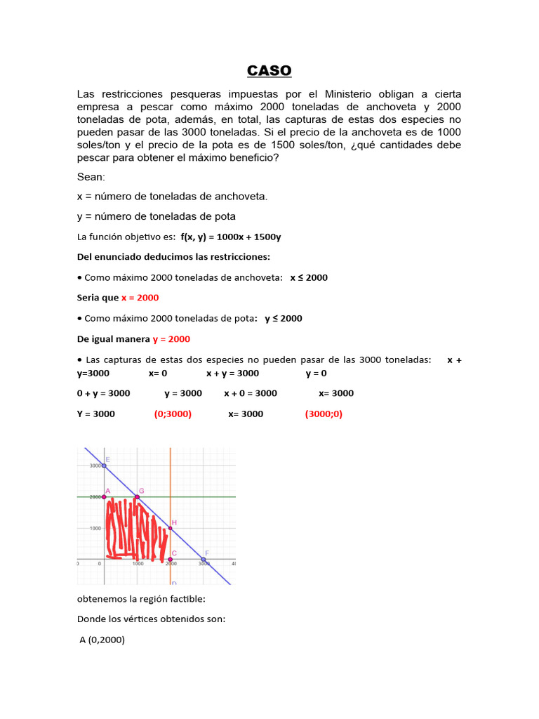 Caso de Distribucion Lineal | PDF