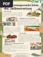 Material Didáctico #02 - Descomposición de Alimentos | PDF