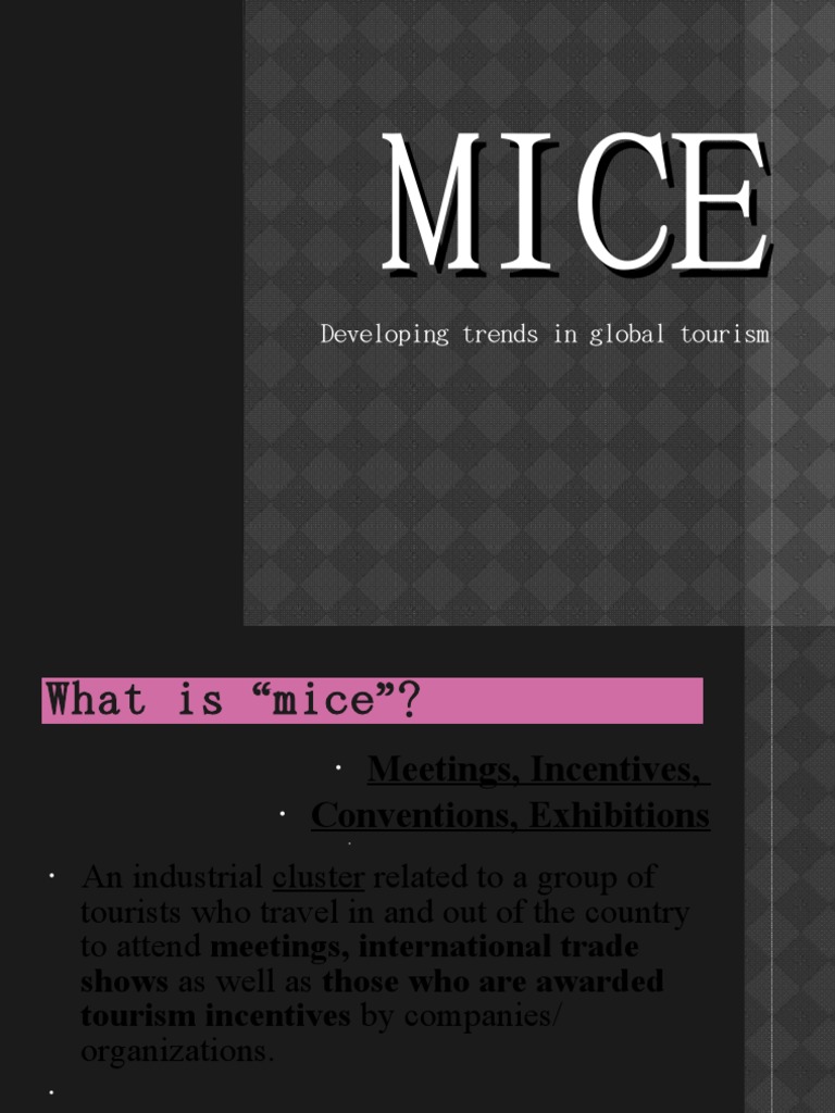 Mice Presentation | PDF | Incentive | Tourism