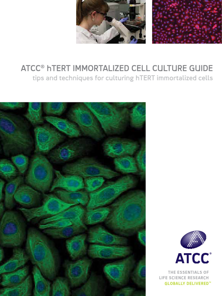 hTERT Immortalized Cell Culture | PDF | Biochemistry | Chemistry