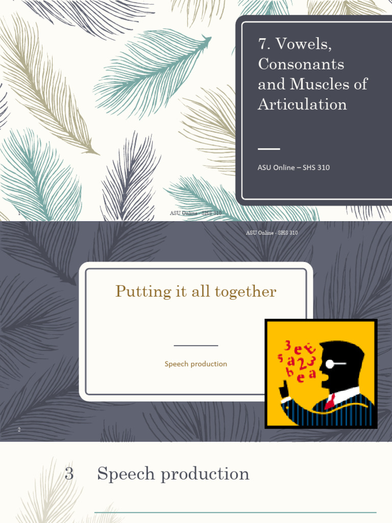 Vowels, Consonants and Muscles of Articulation | PDF | Vowel | Linguistics