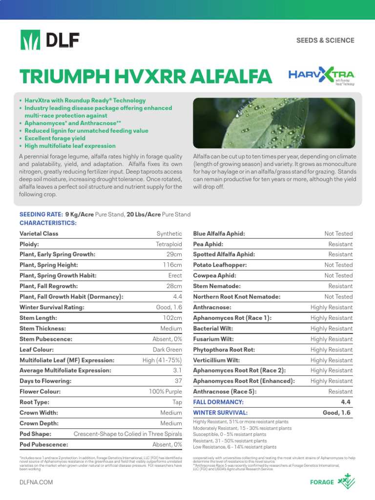 DLF Tech Sheet Triumph HVXRR Alfalfa 06152023 4 | PDF | Alfalfa | Crops